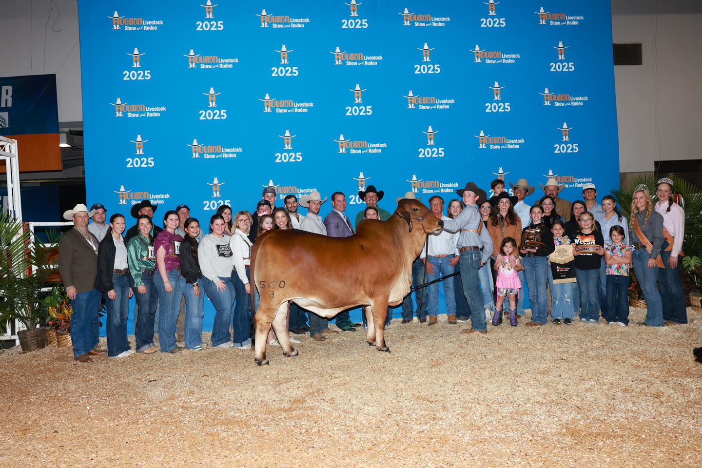 Brahman USA Members Showcase Strength and Stewardship at the 2025 ...